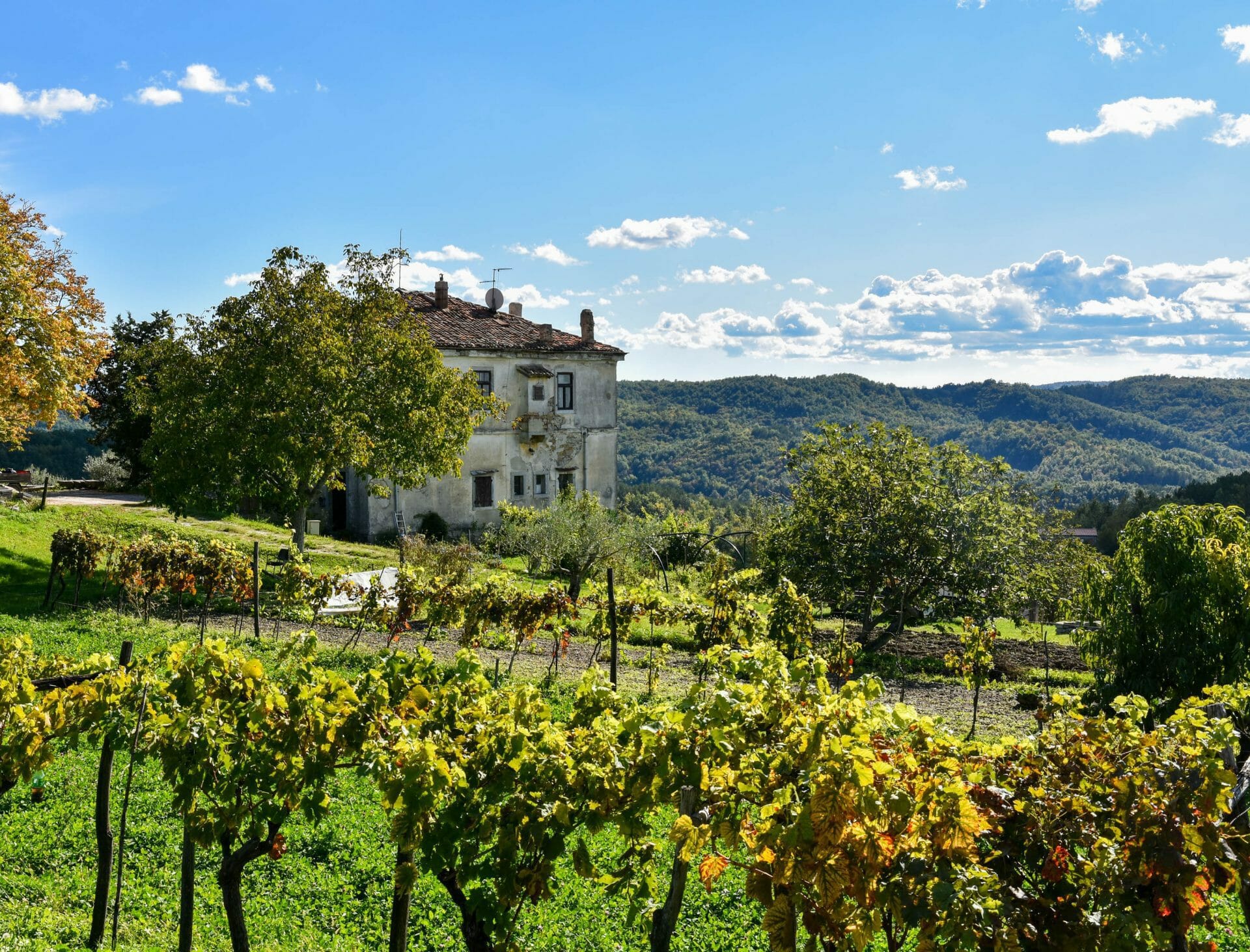 Hum, Croatia: The Smallest of Treasures - Wanderers Compass Travel Blog