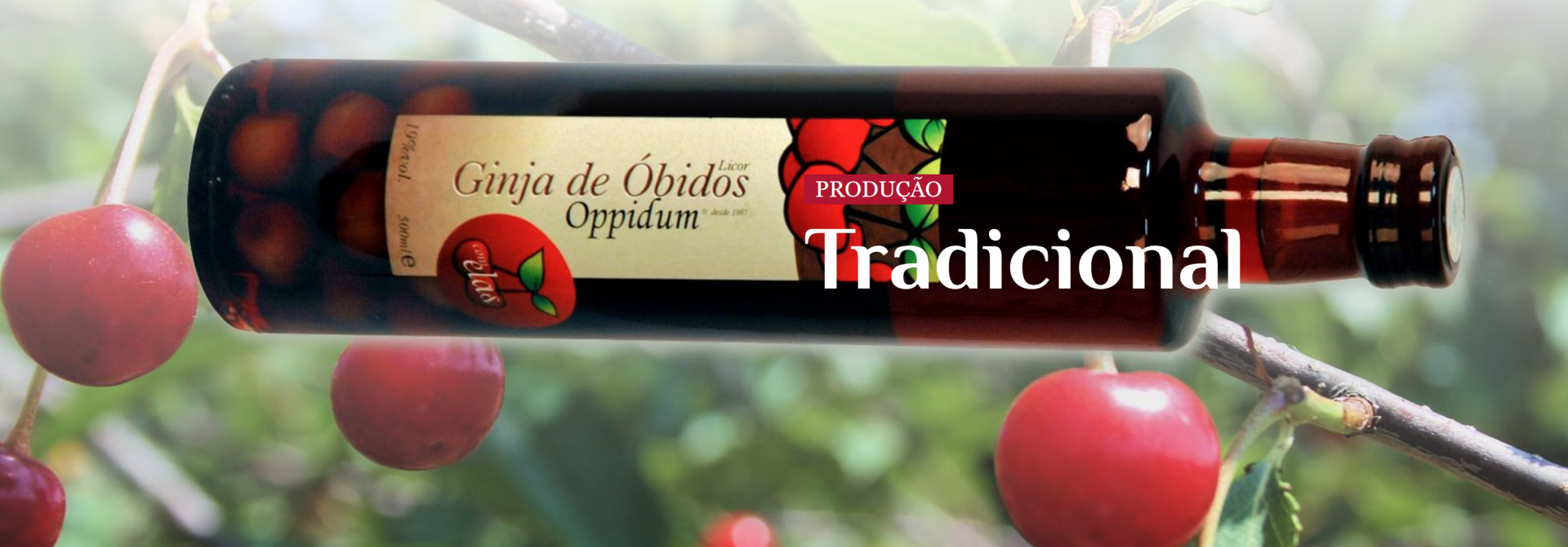Ginja de Obidos: Libations of the World - Wanderers Compass Travel Blog