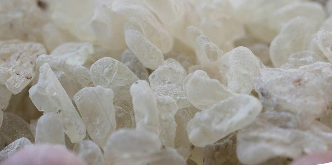 Mastiha: A Unique Herbal Spirit from Greece