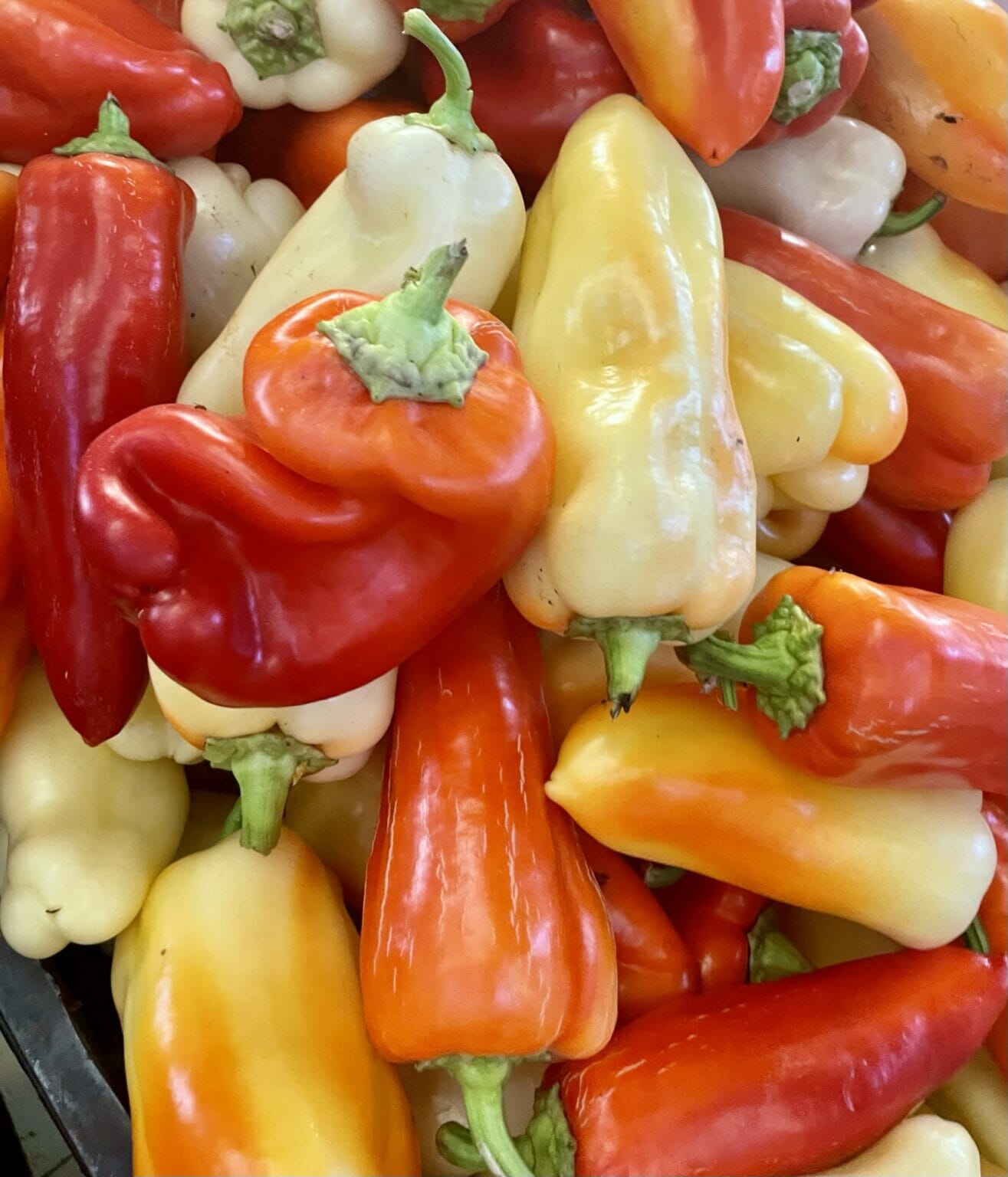 Traditional Hungarian Goulash (Gulyás) - Wanderers Compass