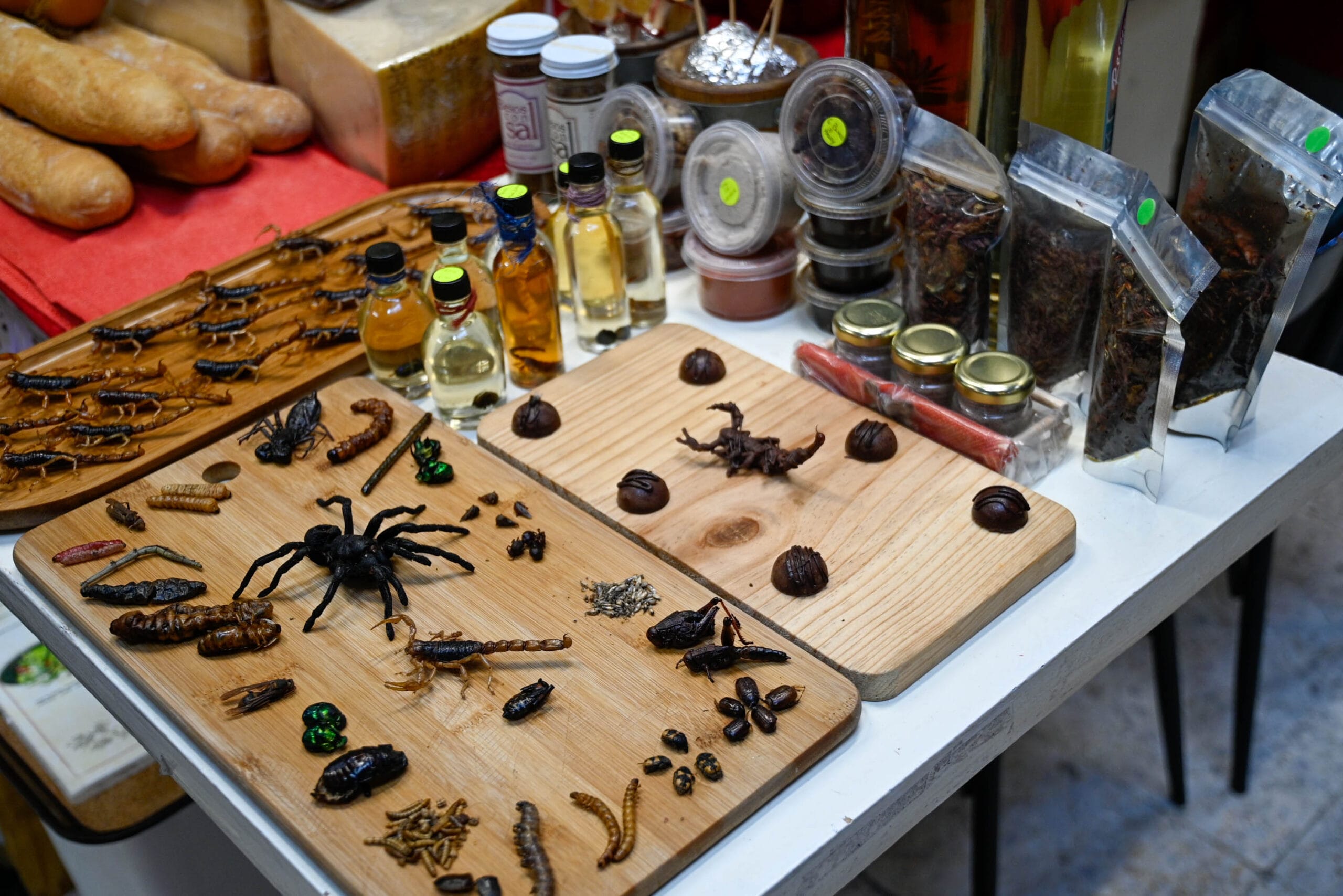 Mexico Travel Guide: A Complete Travel Guide for Adventurers