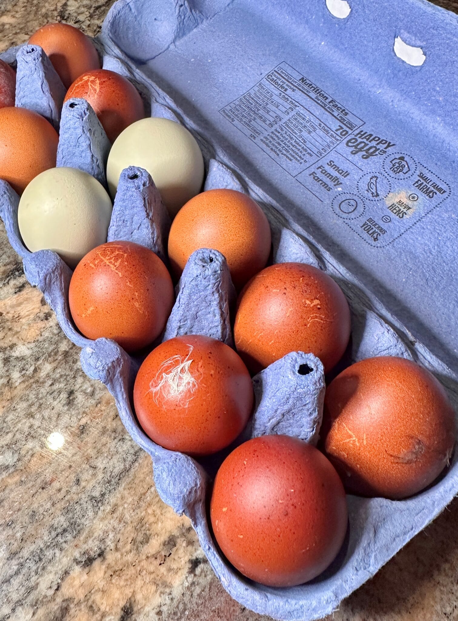 Traditional Scotch Egg: A British Favorite - Wanderers Compass